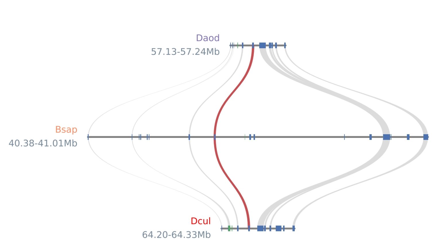 Phyparts进行系统发育冲突分析 - 小马生信日记