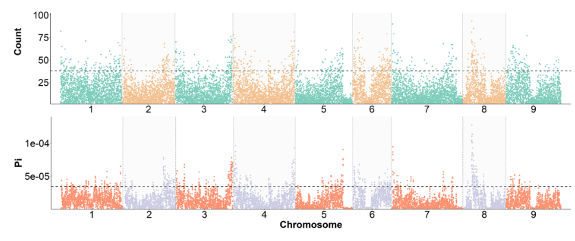 Phyparts进行系统发育冲突分析 - 小马生信日记